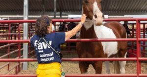 The Comprehensive Guide to VTO for HR | AttendanceBot