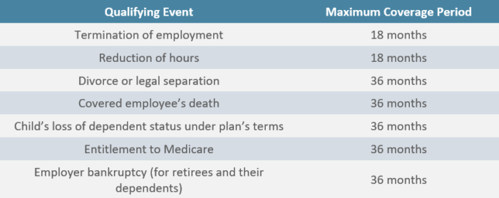 The Comprehensive Guide to COBRA Insurance | AttendanceBot